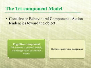 Consumer Attitudes and Beliefs | PPTX