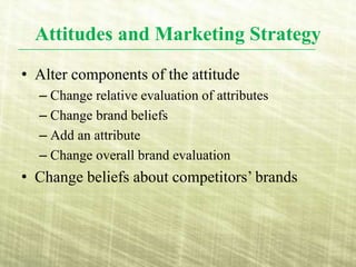 Consumer Attitudes and Beliefs | PPTX