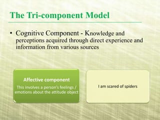 Consumer Attitudes and Beliefs | PPTX