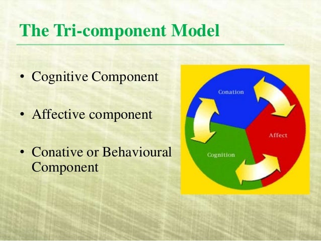 Consumer Attitudes and Beliefs
