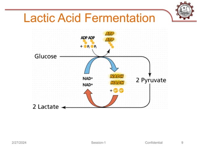 Session-1_Overview of Fermentation Technology.ppt | Chemistry | Science