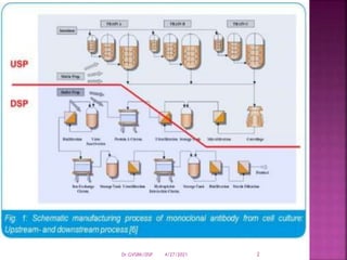 Session 1 role and importance of dsp in biotechnology | PPT