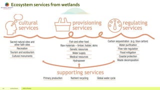 Session 7 - Acquatic Ecosystem | PPT