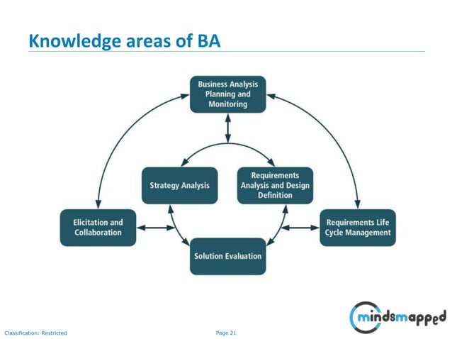 Introduction to Business Analysis | PPSX