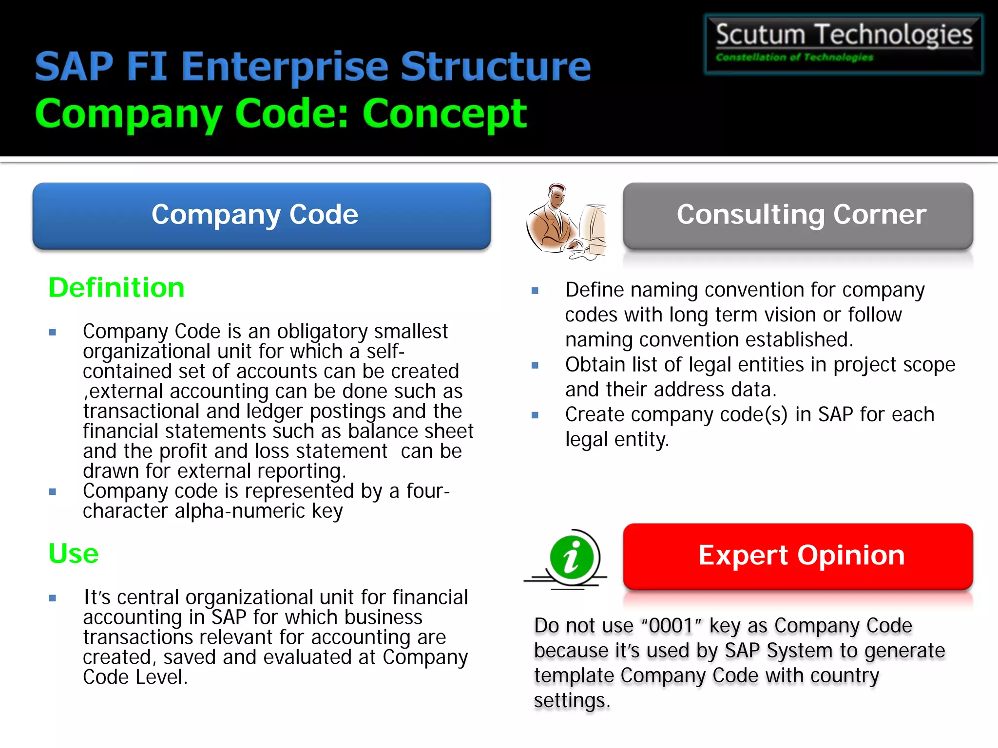 Understanding SAP Enterprise Structure in SAP FI | PDF