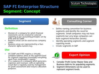 Understanding SAP Enterprise Structure in SAP FI | PDF