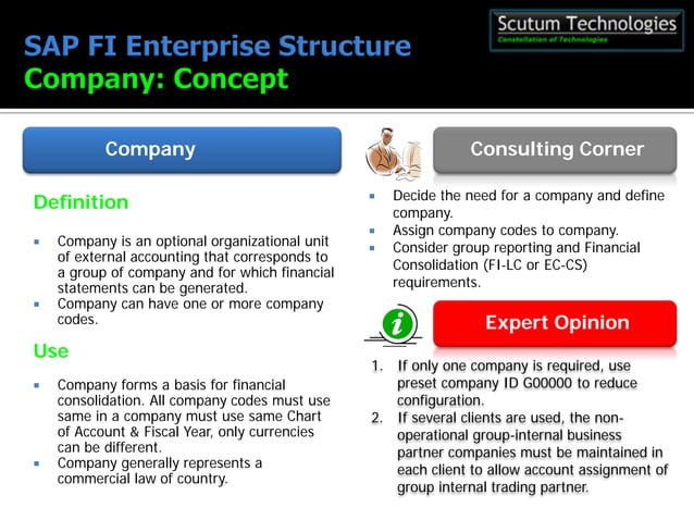 Understanding SAP Enterprise Structure in SAP FI | PDF