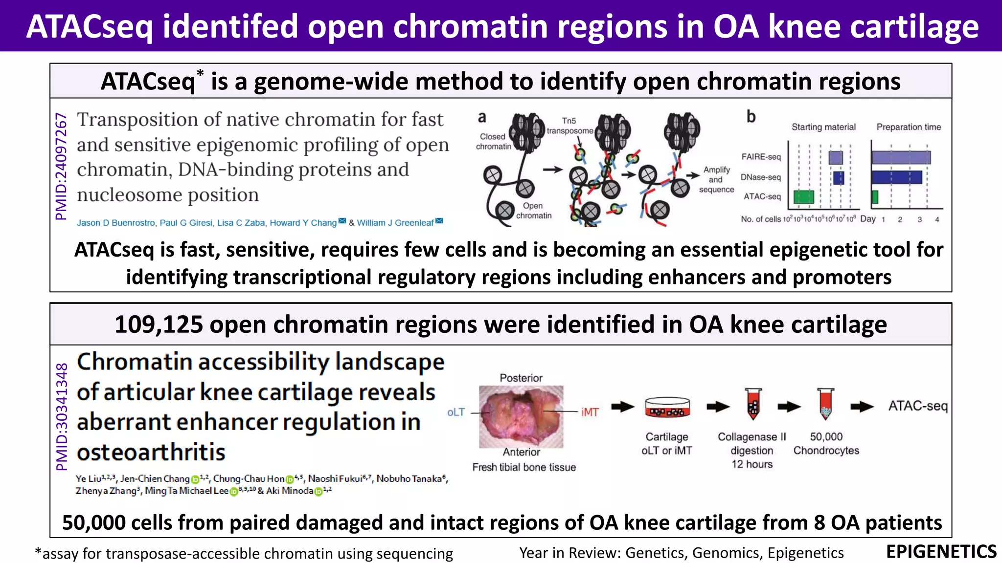 YEAR IN REVIEW - Genetics, Genomics, Epigenetics | PPT