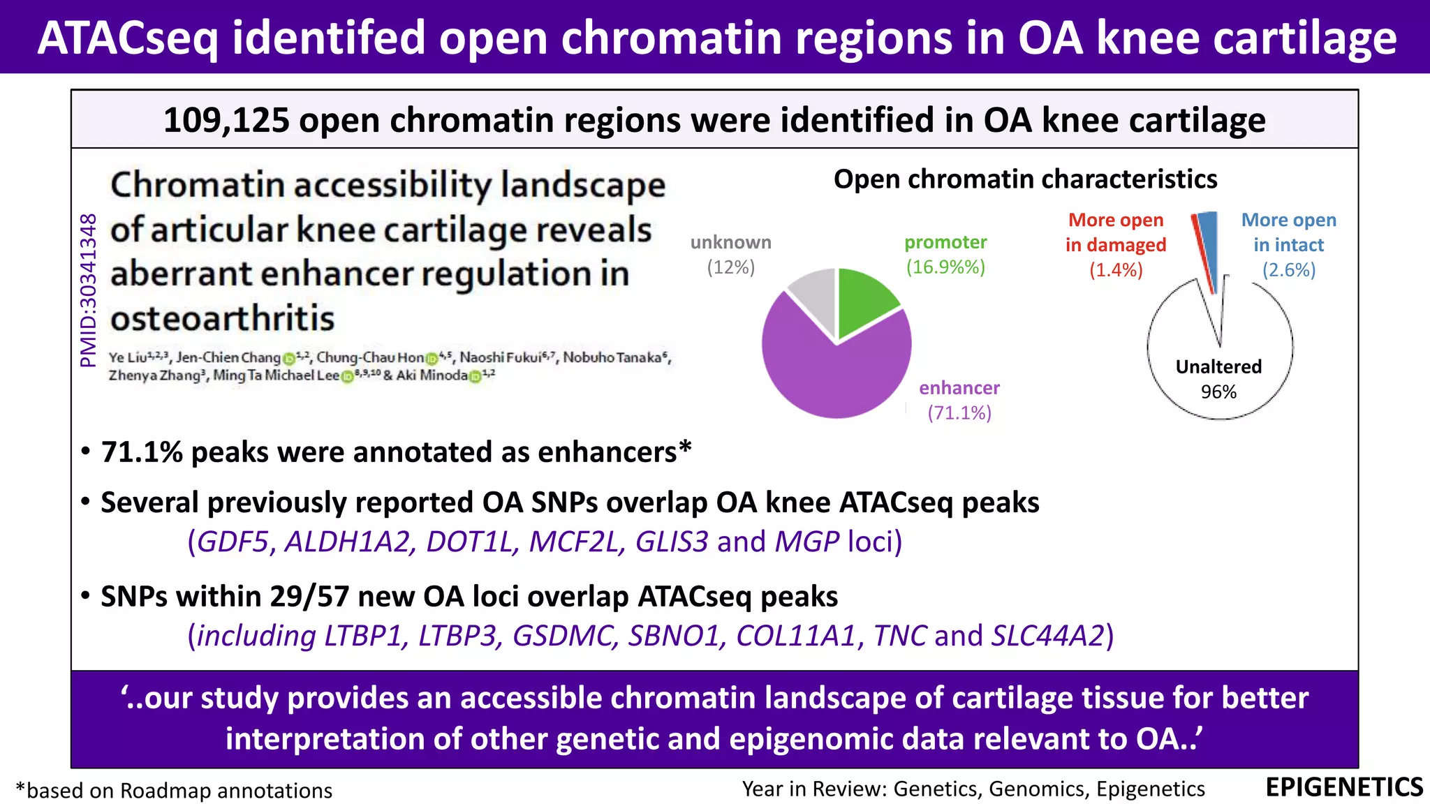 YEAR IN REVIEW - Genetics, Genomics, Epigenetics | PPT