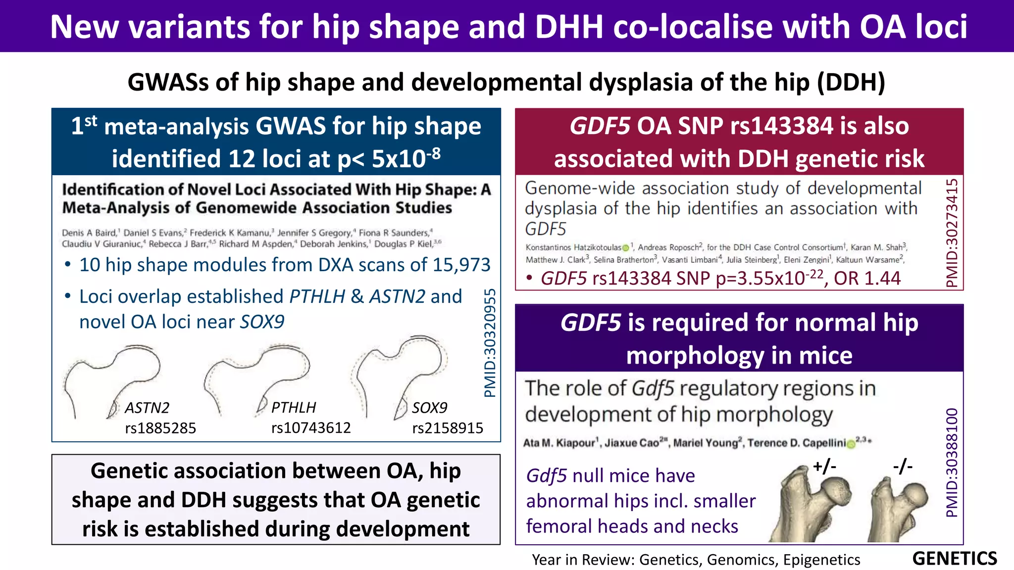 YEAR IN REVIEW - Genetics, Genomics, Epigenetics | PPT