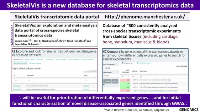 YEAR IN REVIEW - Genetics, Genomics, Epigenetics | PPT
