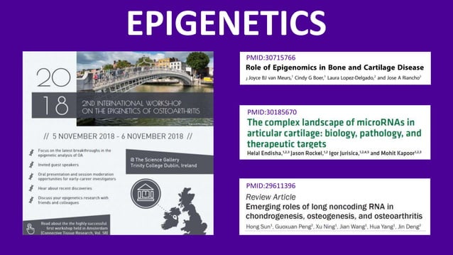 YEAR IN REVIEW - Genetics, Genomics, Epigenetics | PPT