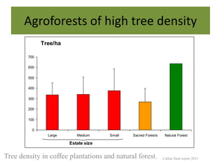 Session 1.1 cafnet | PPT