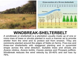 Session 1.4 design & devp of agroforestry systems | PPTX