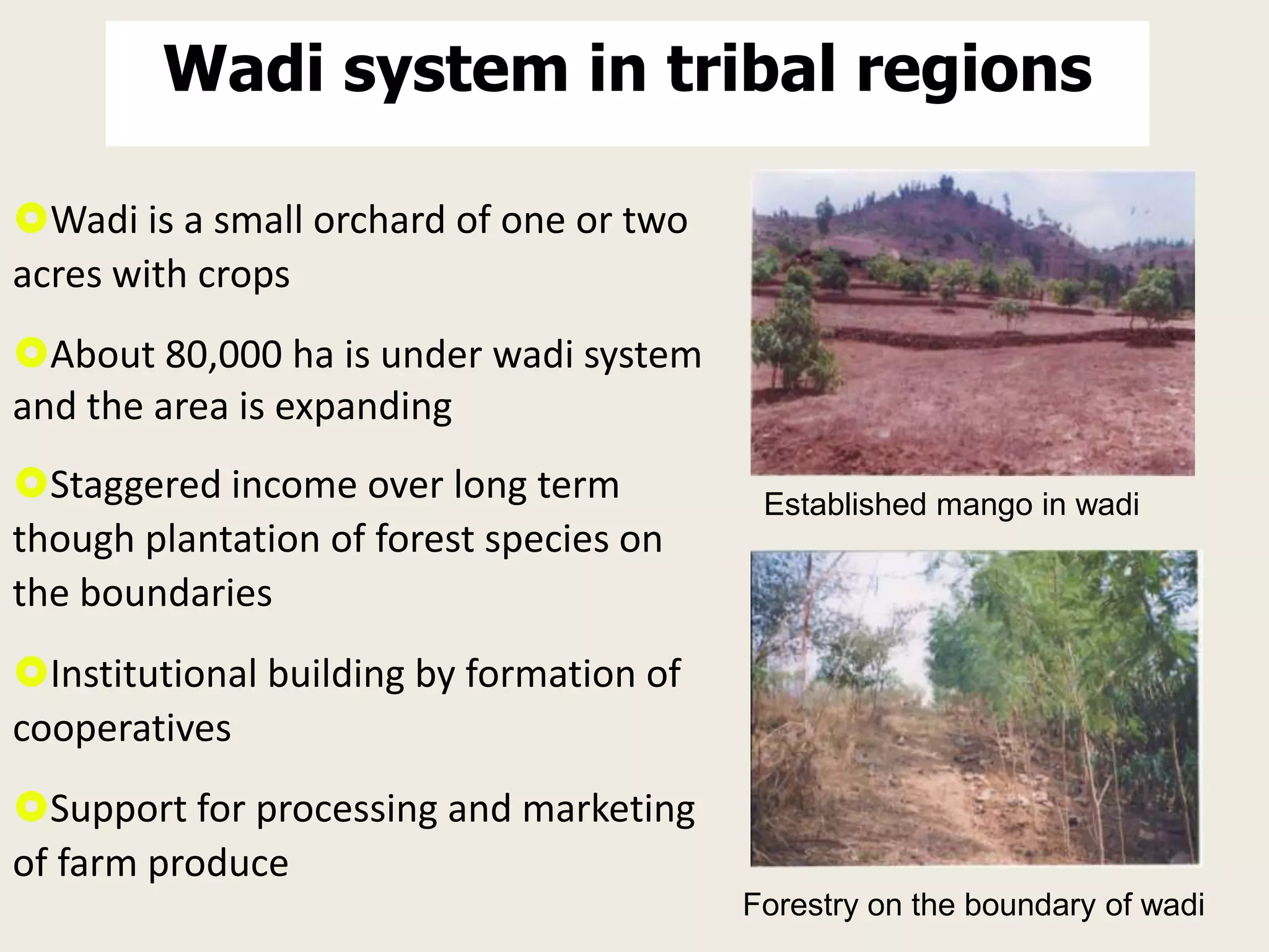 Session 1.4 livelihood diversification through agroforestry in india | PPTX