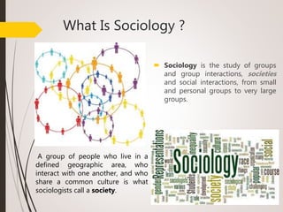 Introduction to Sociology | PPTX