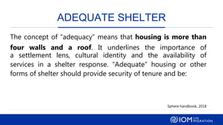 Session 1 - Introduction to Shelter.pptx
