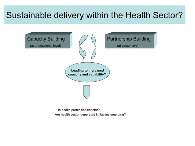 SMP - Sustainable Delivery in Malawi, Isabel Bruce | PPT | Medical Health