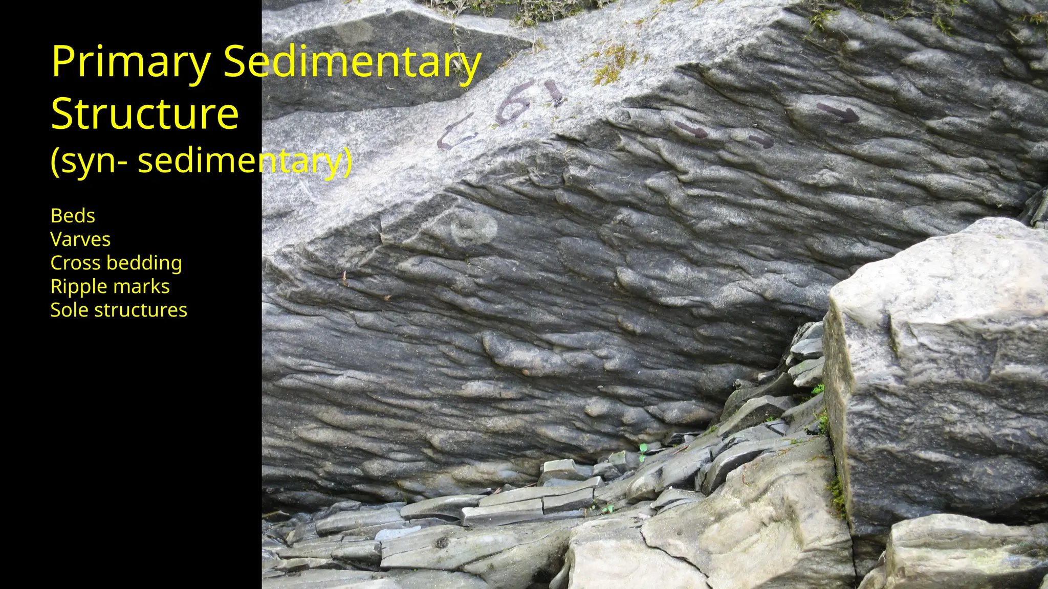Session 10 Geological Structure INtro.pptx