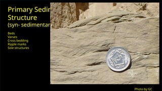 Session 10 Geological Structure INtro.pptx