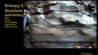 Session 10 Geological Structure INtro.pptx