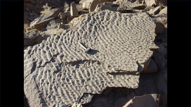 Session 10 Geological Structure INtro.pptx