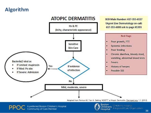 Session 1 Atopic Dermatitis Dermatology LC 1.2