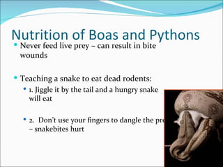 Avian & Snake Nutrition | PPT