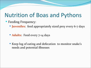 Avian & Snake Nutrition | PPT