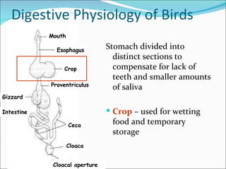 Avian & Snake Nutrition | PPT