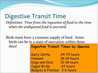 Avian & Snake Nutrition | PPT