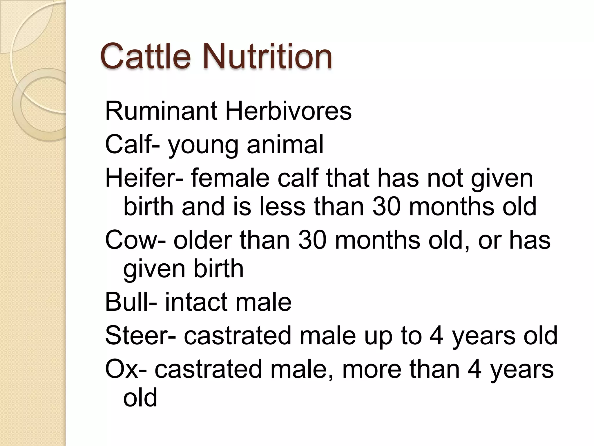 Cattle Nutrition | PPTX | Nutrition | Healthy Living