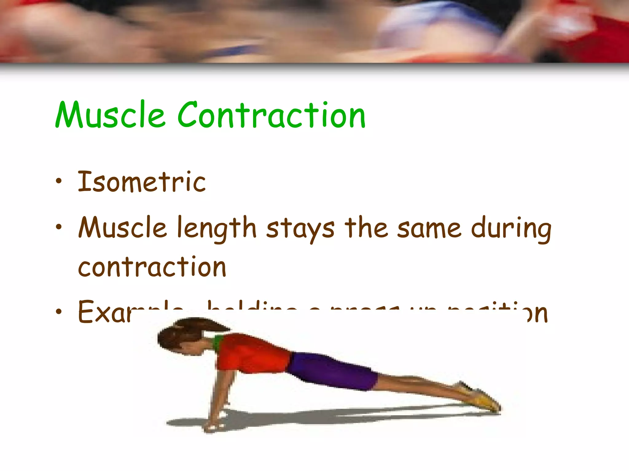 Session 12 (muscle contractions) | PPT