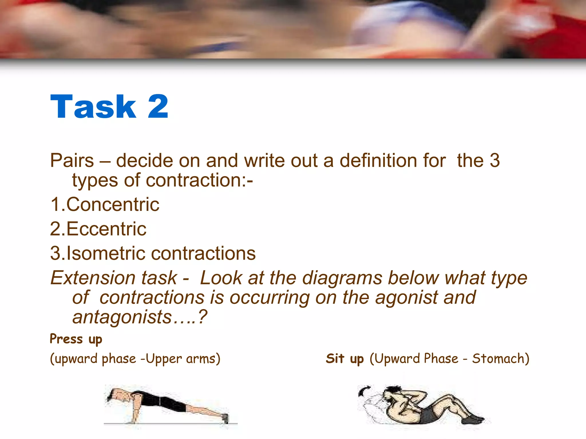 Session 12 (muscle contractions) | PPT