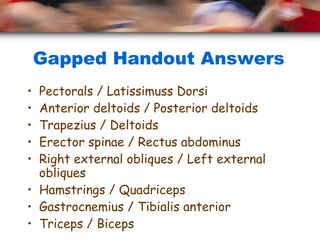 Session 12 (muscle contractions) | PPT