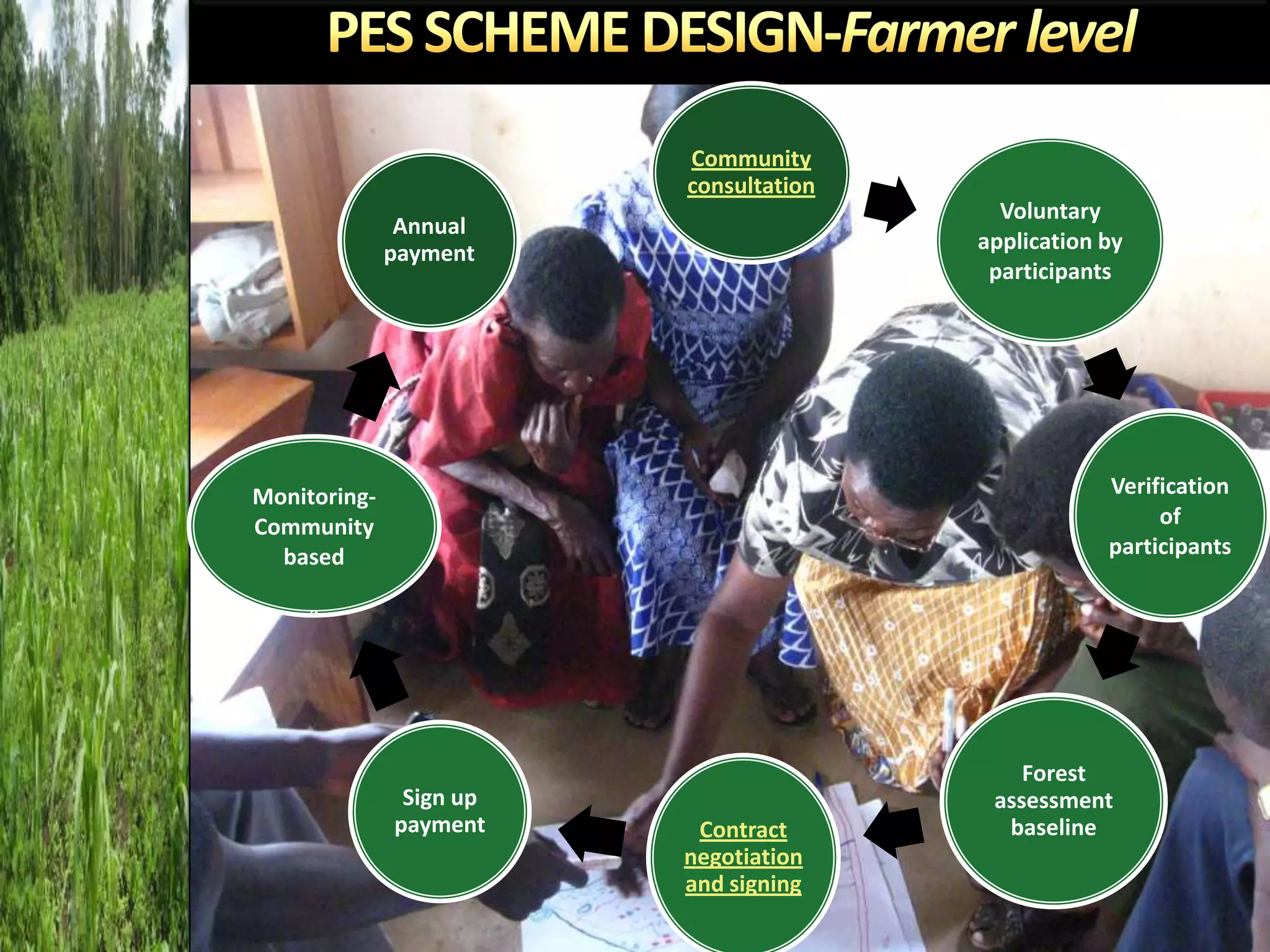 The chimpanzee conservation corridor pilot PES scheme in Uganda | PPTX