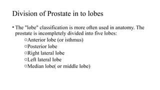 Session 14- Benign prostate hyperplasia(BPH).pptx