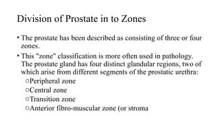 Session 14- Benign prostate hyperplasia(BPH).pptx