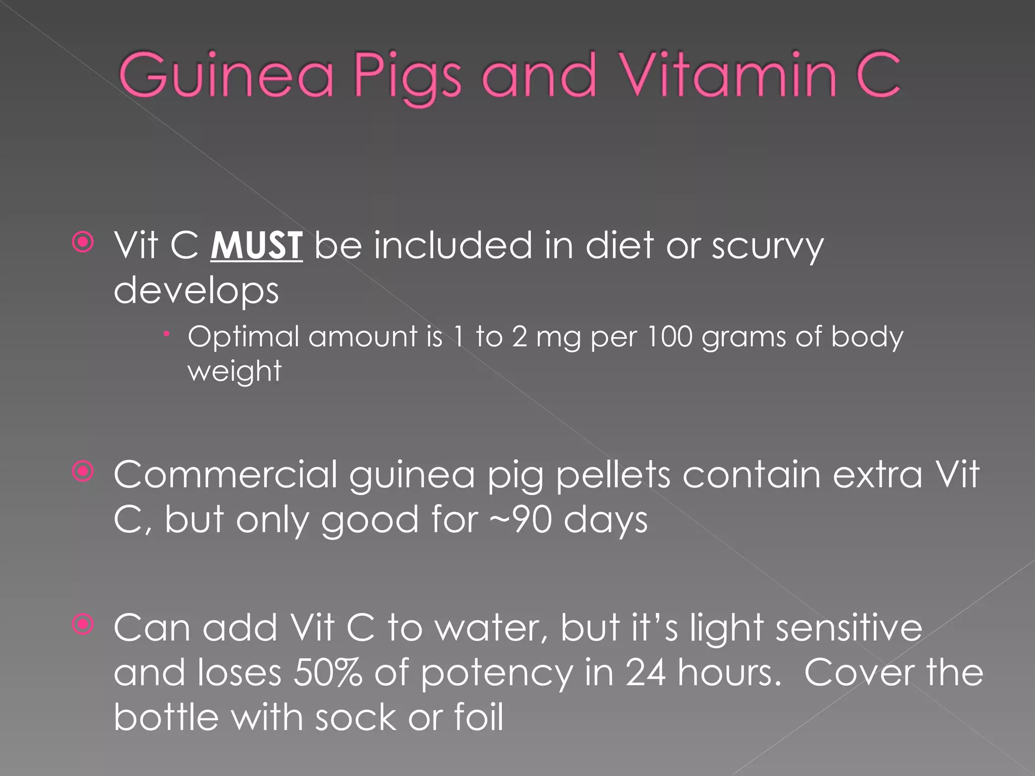 Lagomorphs & Rodents | PPT