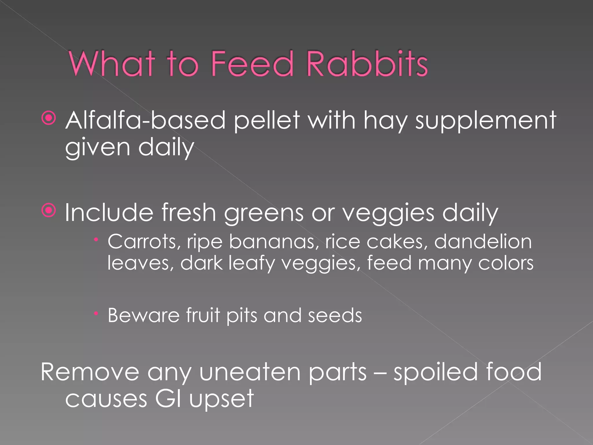Lagomorphs & Rodents | PPT