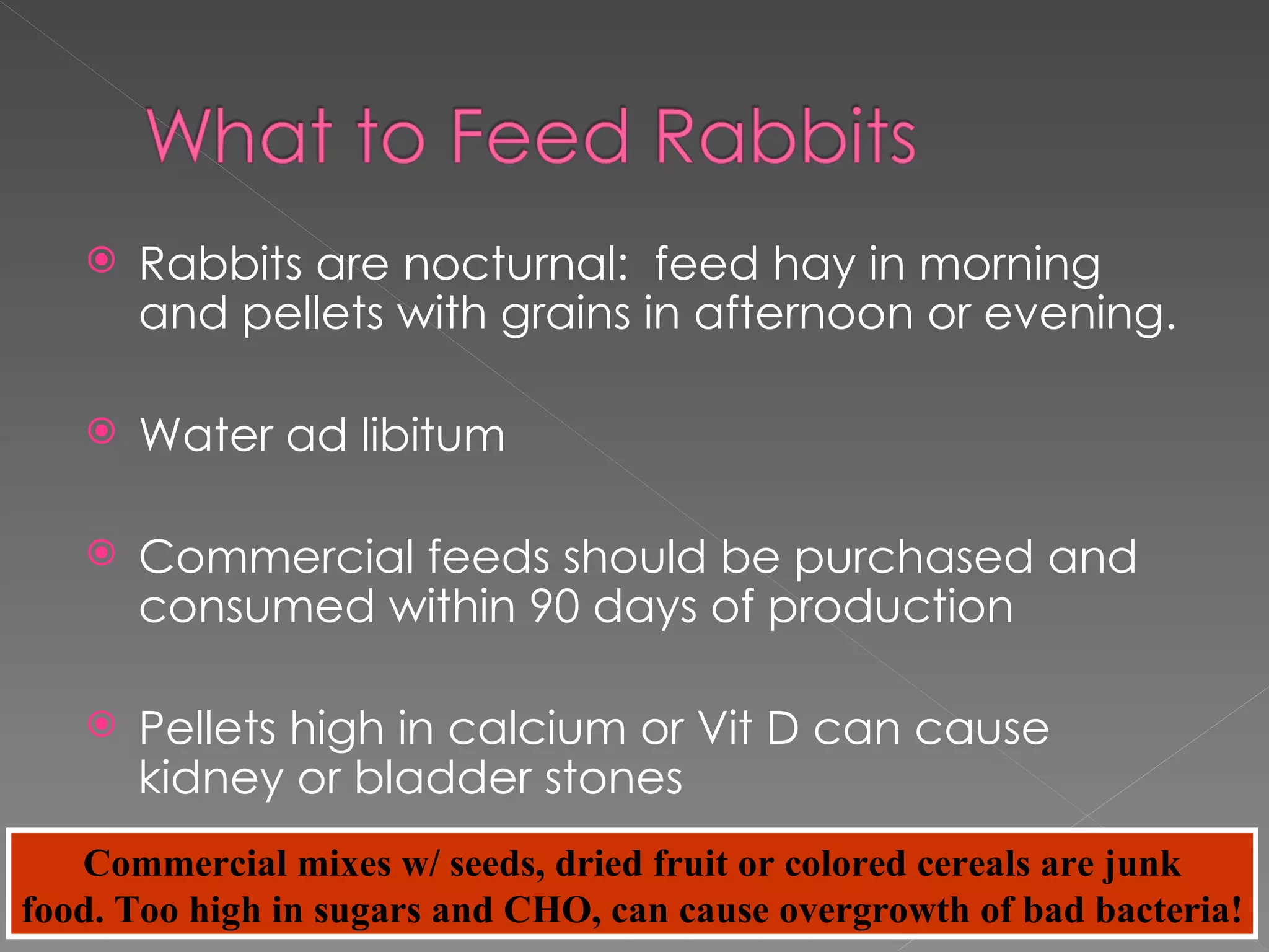 Lagomorphs & Rodents | PPT