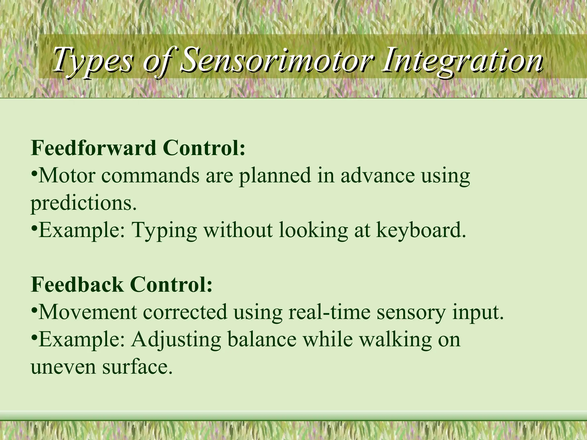 Session 15 Attention and Sensorimotor Integration.ppt