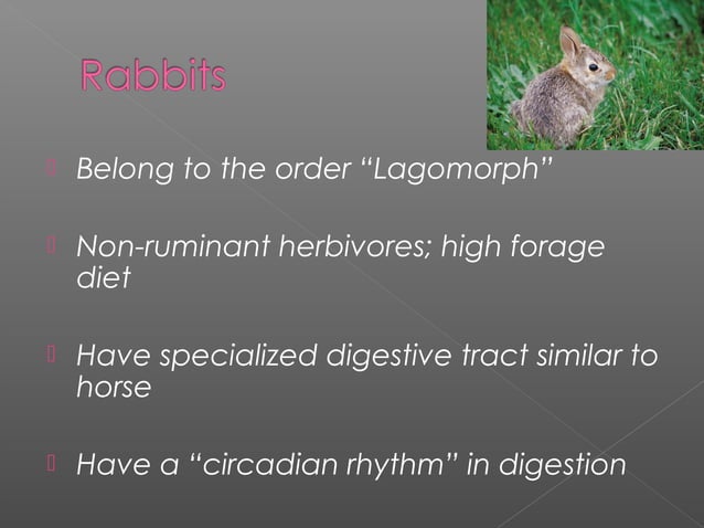 Session 15 lagomorphs_and_rodents | PPT