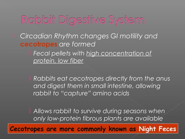 Session 15 lagomorphs_and_rodents | PPT