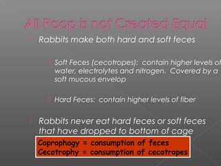 Session 15 lagomorphs_and_rodents | PPT