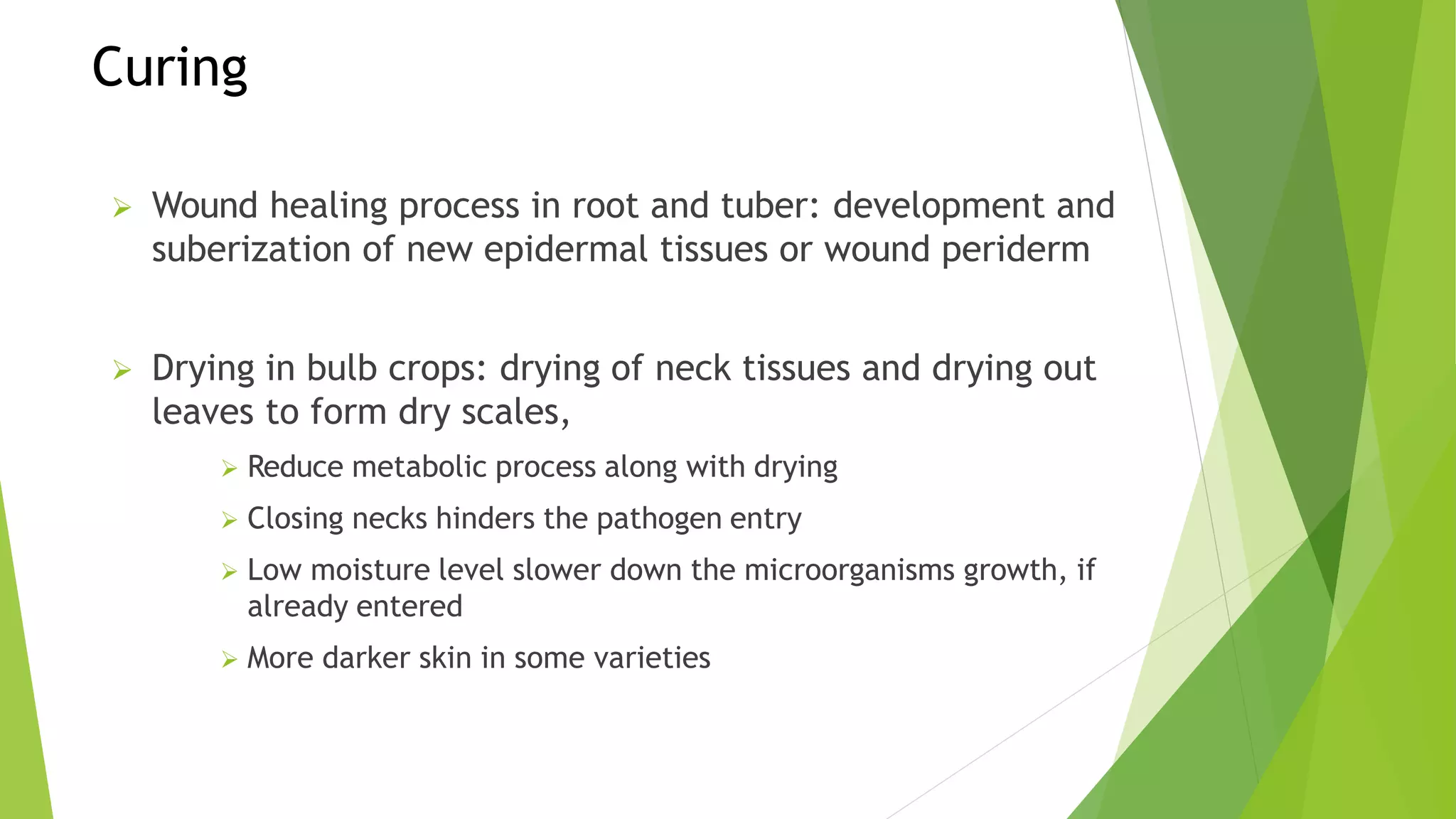 Session 18. Curing.pptx