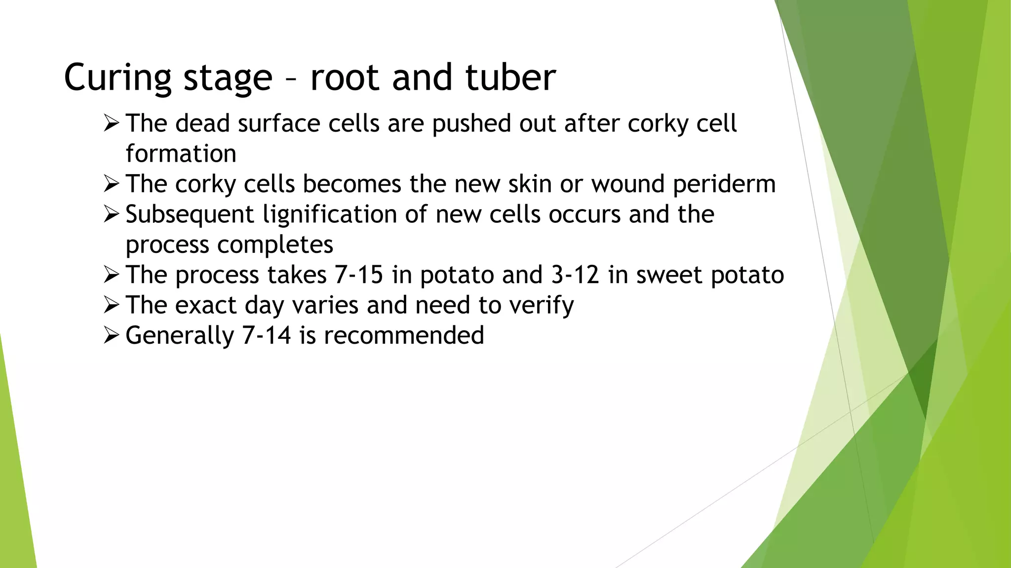 Session 18. Curing.pptx
