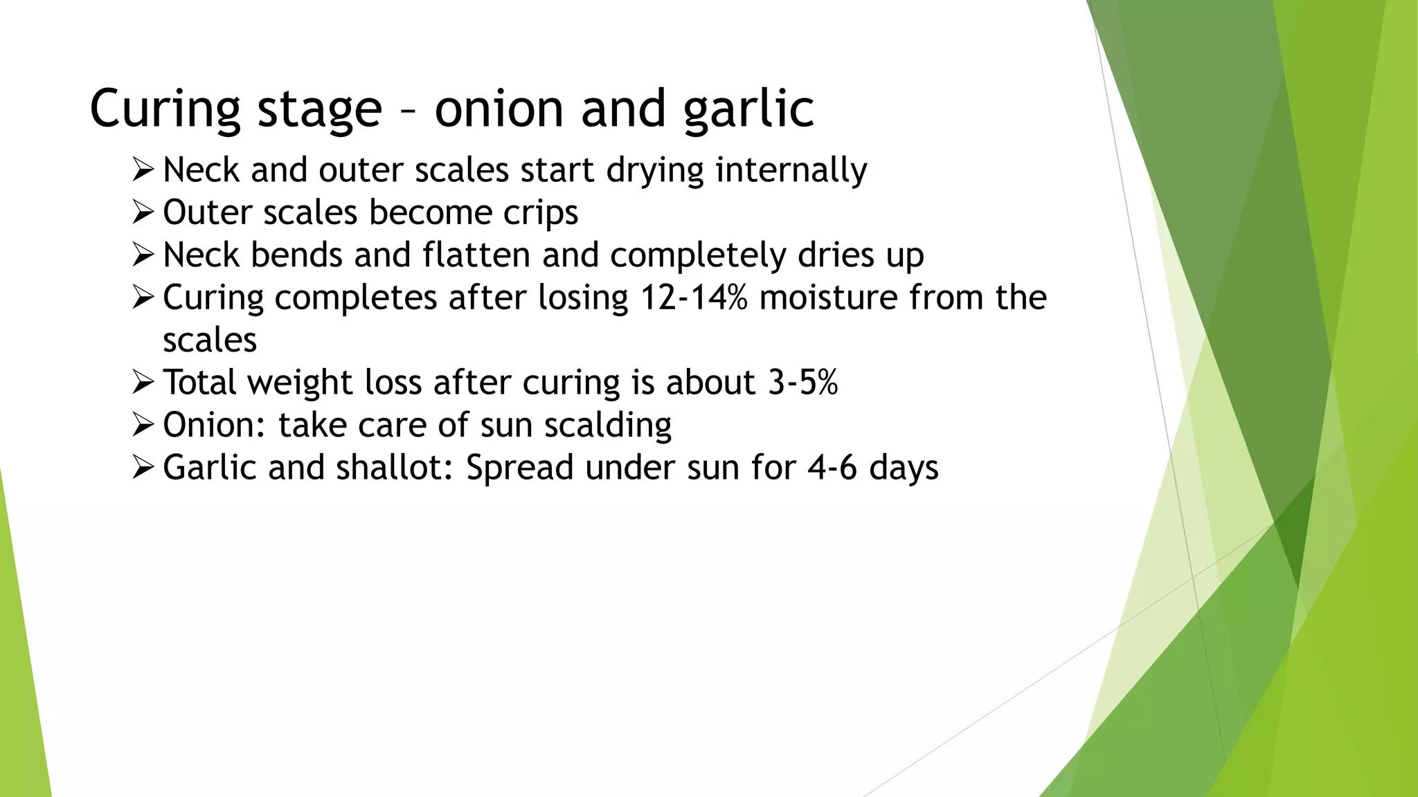 Session 18. Curing.pptx