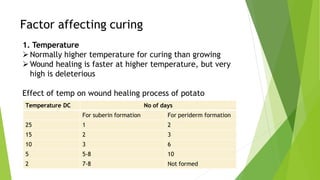 Session 18. Curing.pptx