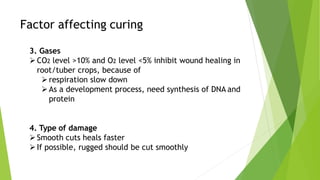 Session 18. Curing.pptx